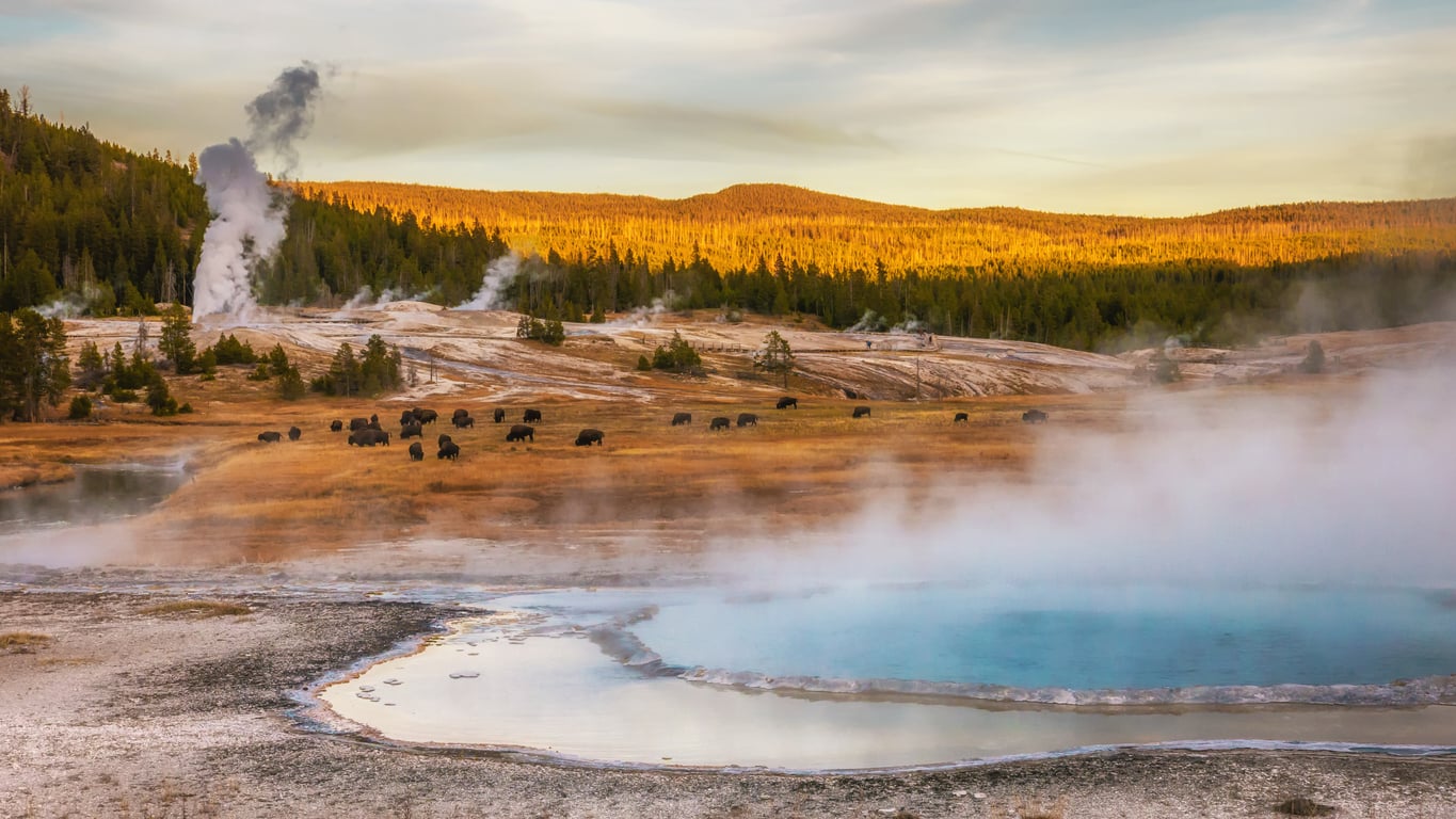 Best Time to Visit Yellowstone: A Local's Guide