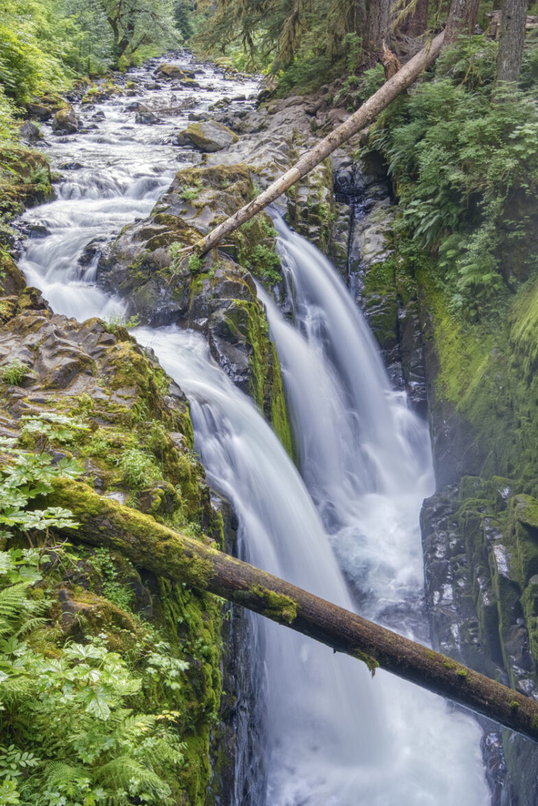 Guided Backpacking Trips in Olympic National Park | 57hours