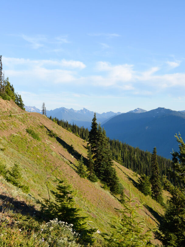 Guided Adventures in Olympic National Park | 57hours