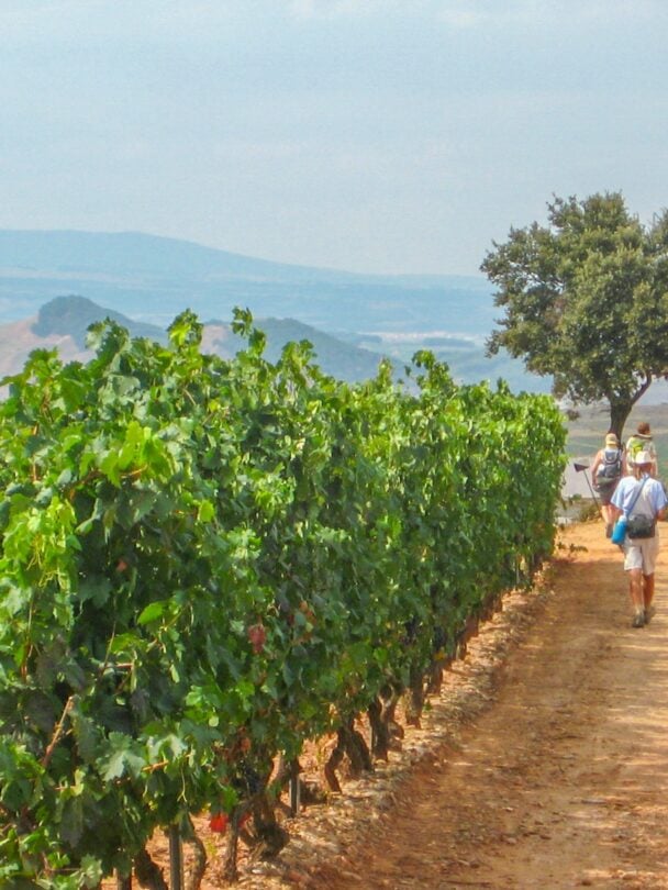 Guided Adventures in Camino de Santiago | 57hours