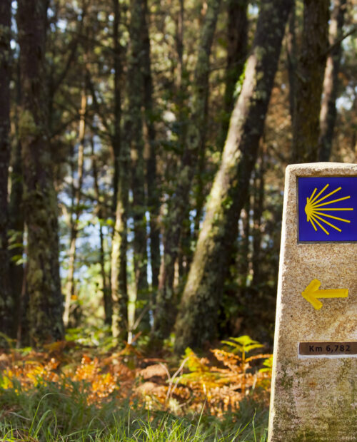 Guided All-Women Walking Holidays in Andalucia | 57hours