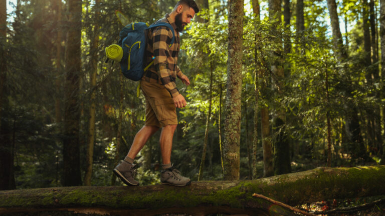 Cameron Pass Guided Hiking and Camping Tour | 57hours