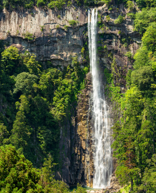 Guided Hiking and Biking Tour Along Kumano Kodo | 57hours