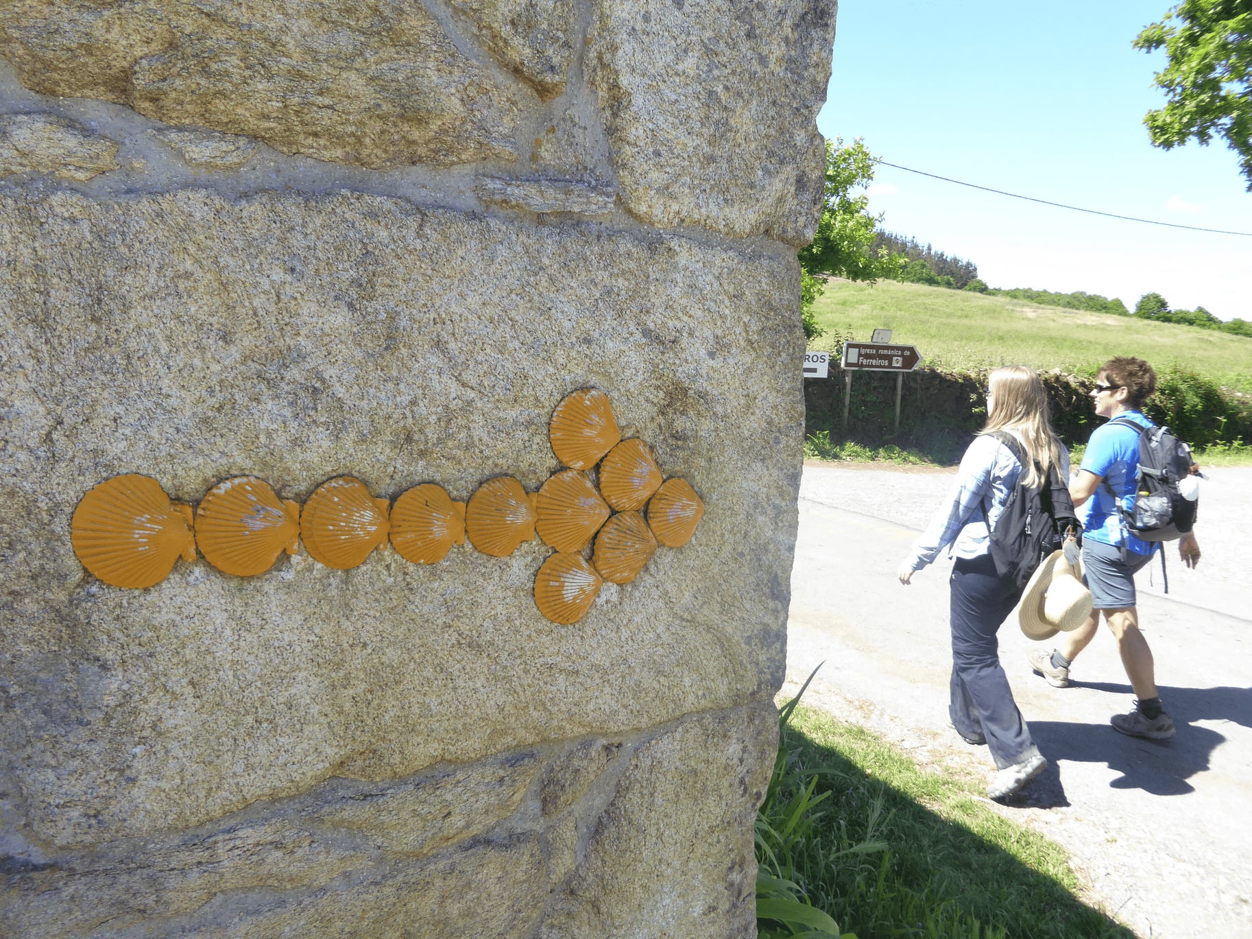 Camino de Santiago Tours with Local Guides - 57hours