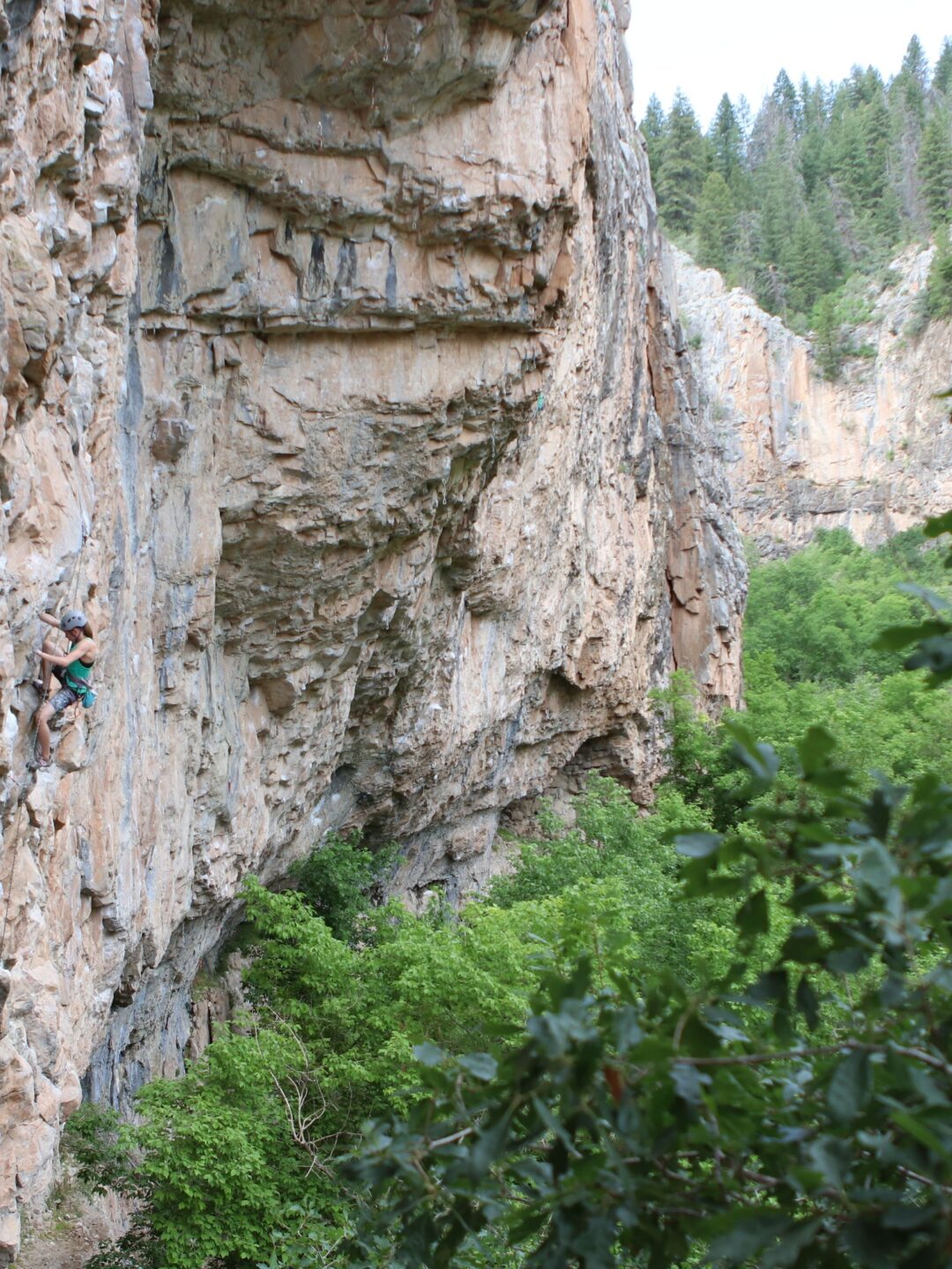 Rifle Mountain Park Guided Rock Climbing Trip, CO | 57hours