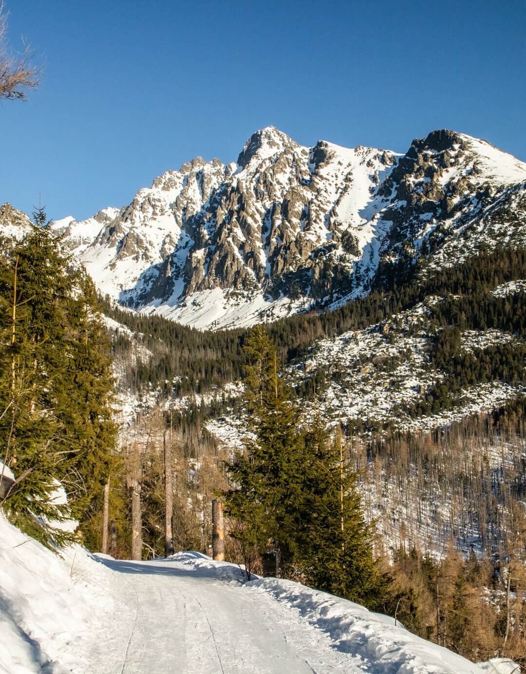 Guided Winter Hiking the High Tatras, Slovakia | 57hours
