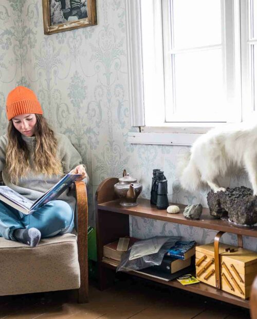 Iceland Sea Kayaking Tour With Expert Guide | 57hours