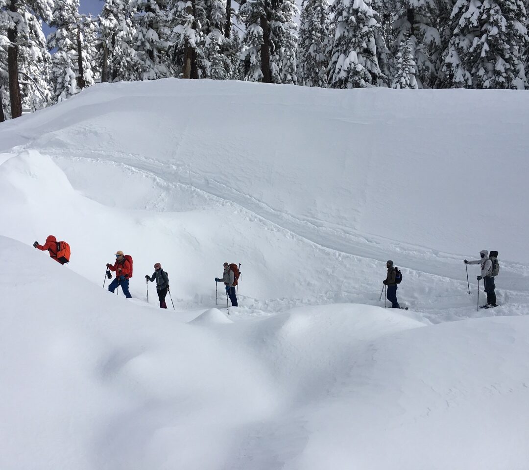Professional Mount Shasta Avalanche Education | 57hours