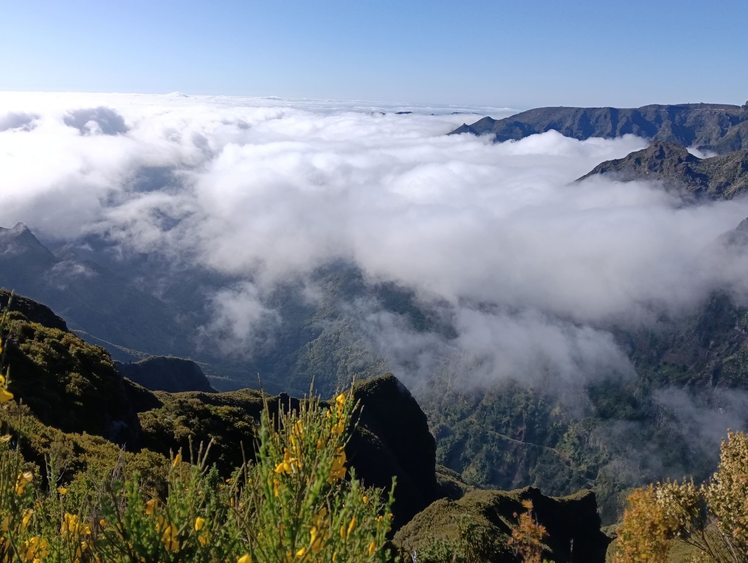 Madeira Hiking Trip: 8-Day All-Inclusive Journey, Portugal | 57hours