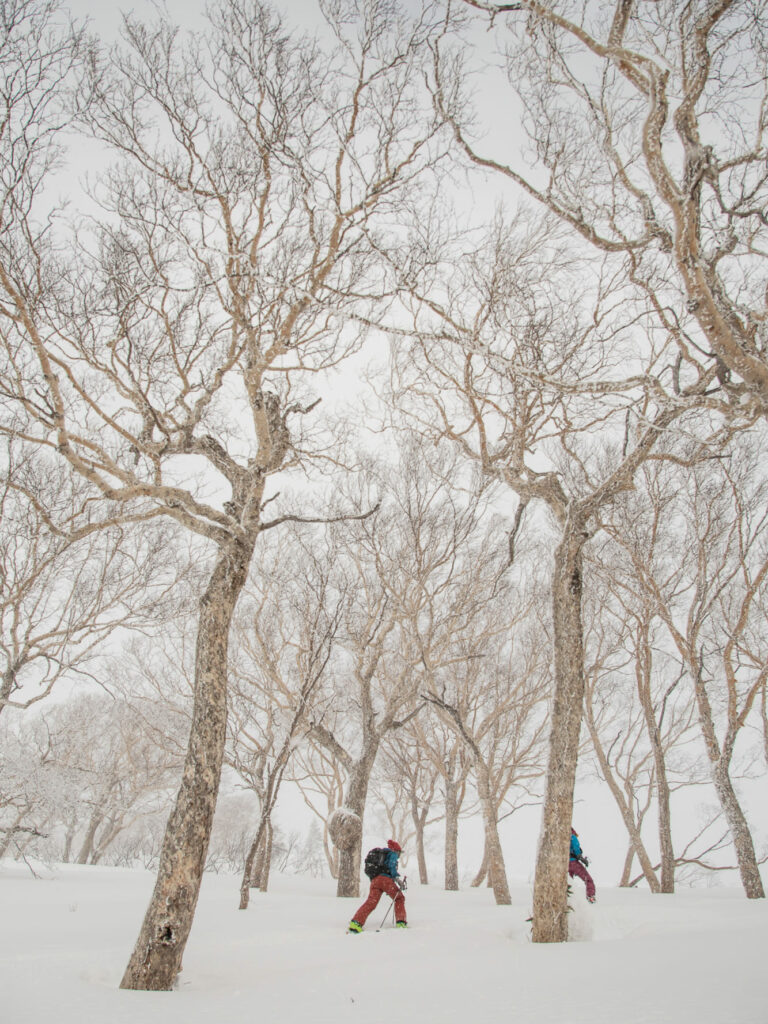 Guided Backcountry Skiing in Hakuba & Myoko, Japan | 57hours