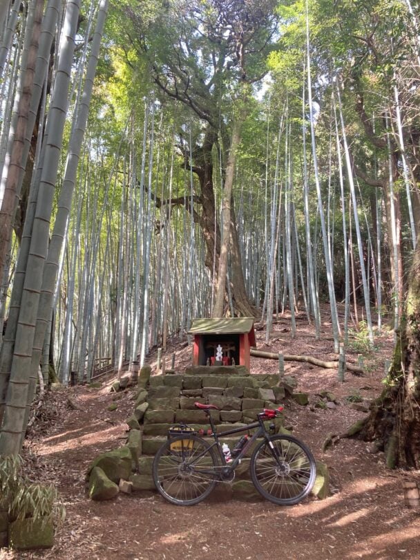 Japan Cycling Tours with Local Guides - 57hours