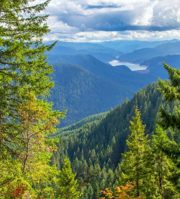 Guided Adventures in Oakridge | 57hours