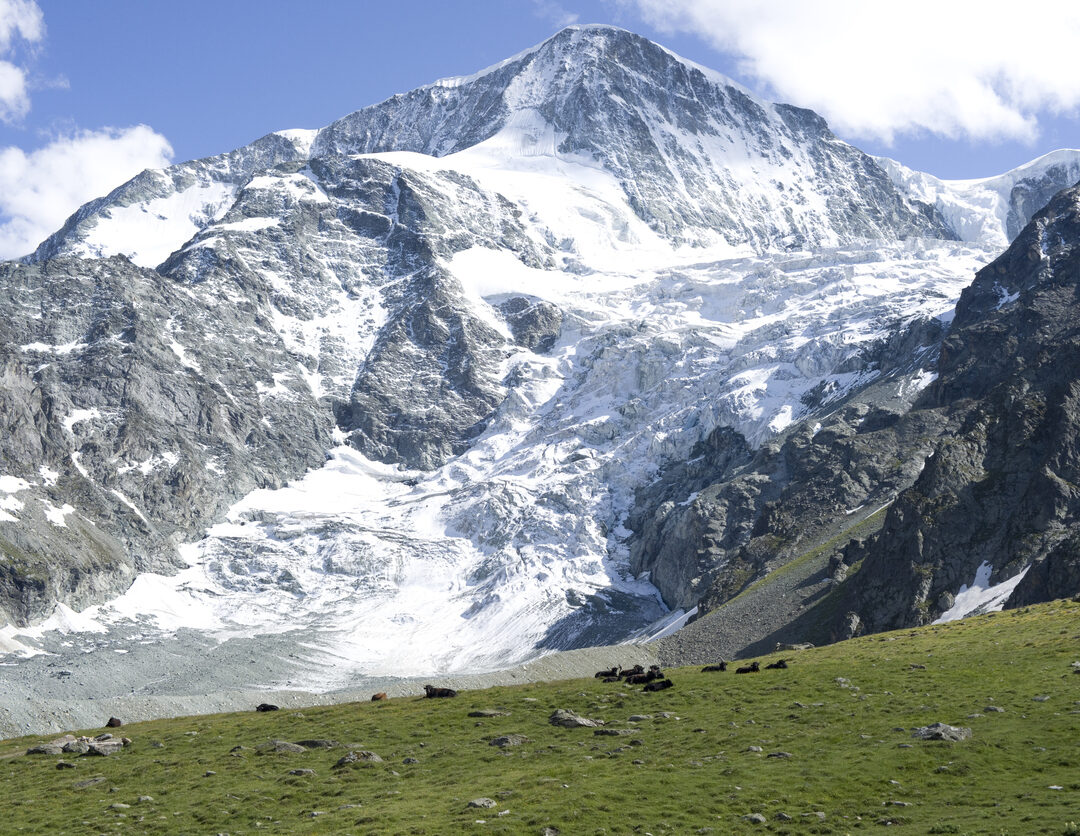 Guided Haute Route Glacier Trek | 57hours