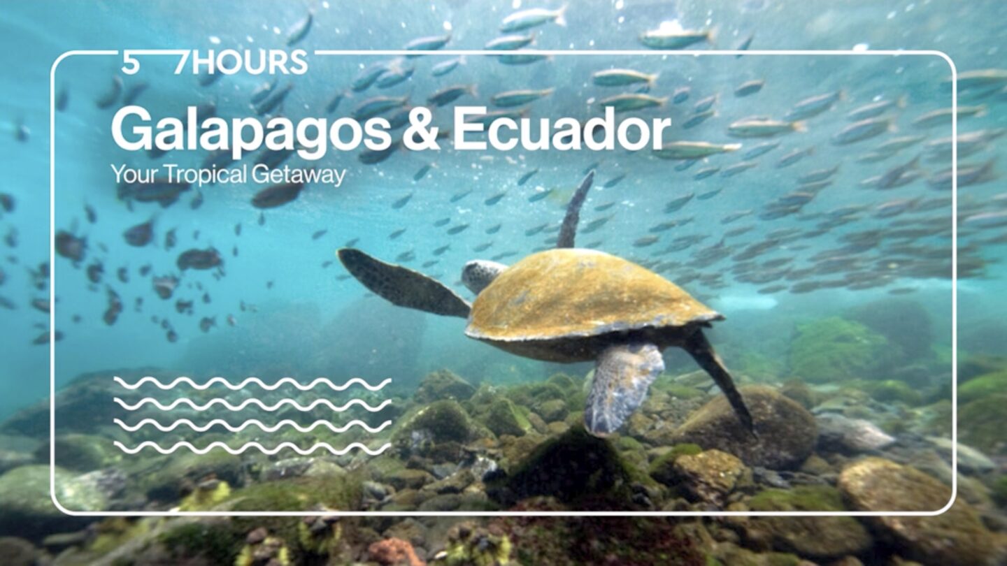 Guided Galapagos Active Holiday, Ecuador | 57hours