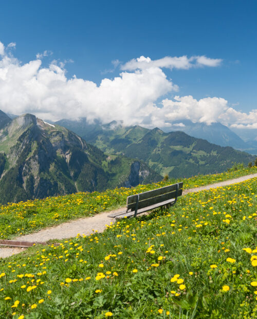 Via Alpina Guided Hiking Tour in Switzerland | 57hours