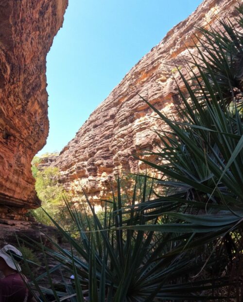Guided Hiking in Kakadu, Litchfield & Arnhem Land | 57hours