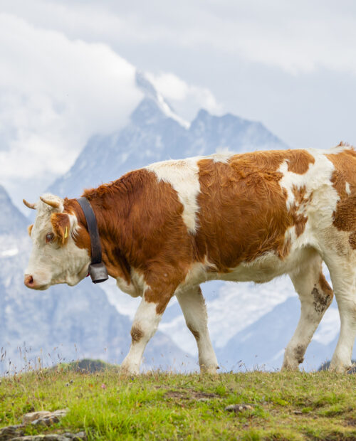 Find Your Perfect Guided Hiking Adventure | 57hours