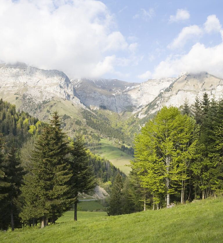 Self-Guided TMB Hiking Adventure | 57hours