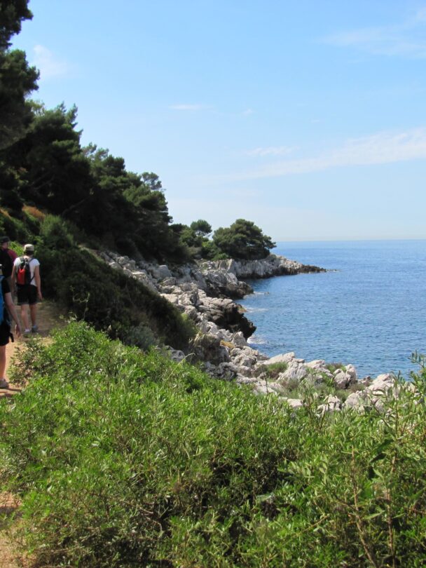 Verdon Gorge & Provence Guided Hiking Holidays | 57hours