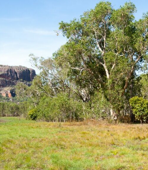 Guided Larapinta Trail Hiking Tour in the Outback | 57hours