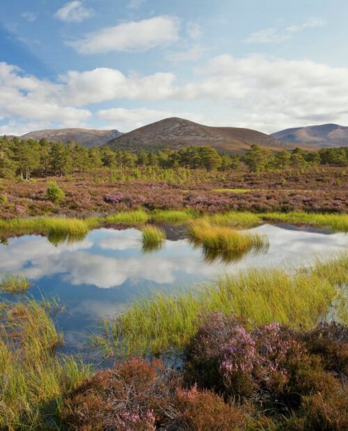 Guided Women’s Hiking Tour, Cairngorms, Scotland | 57hours