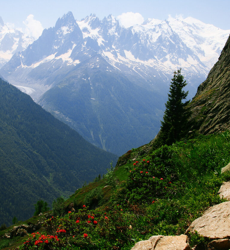 Self-Guided TMB Hiking Adventure | 57hours