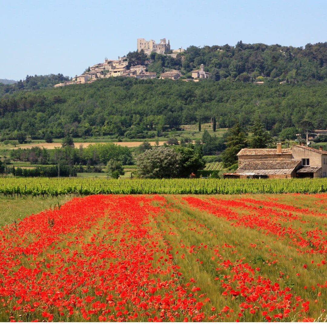 Guided Walking Tour of Provence in France | 57hours
