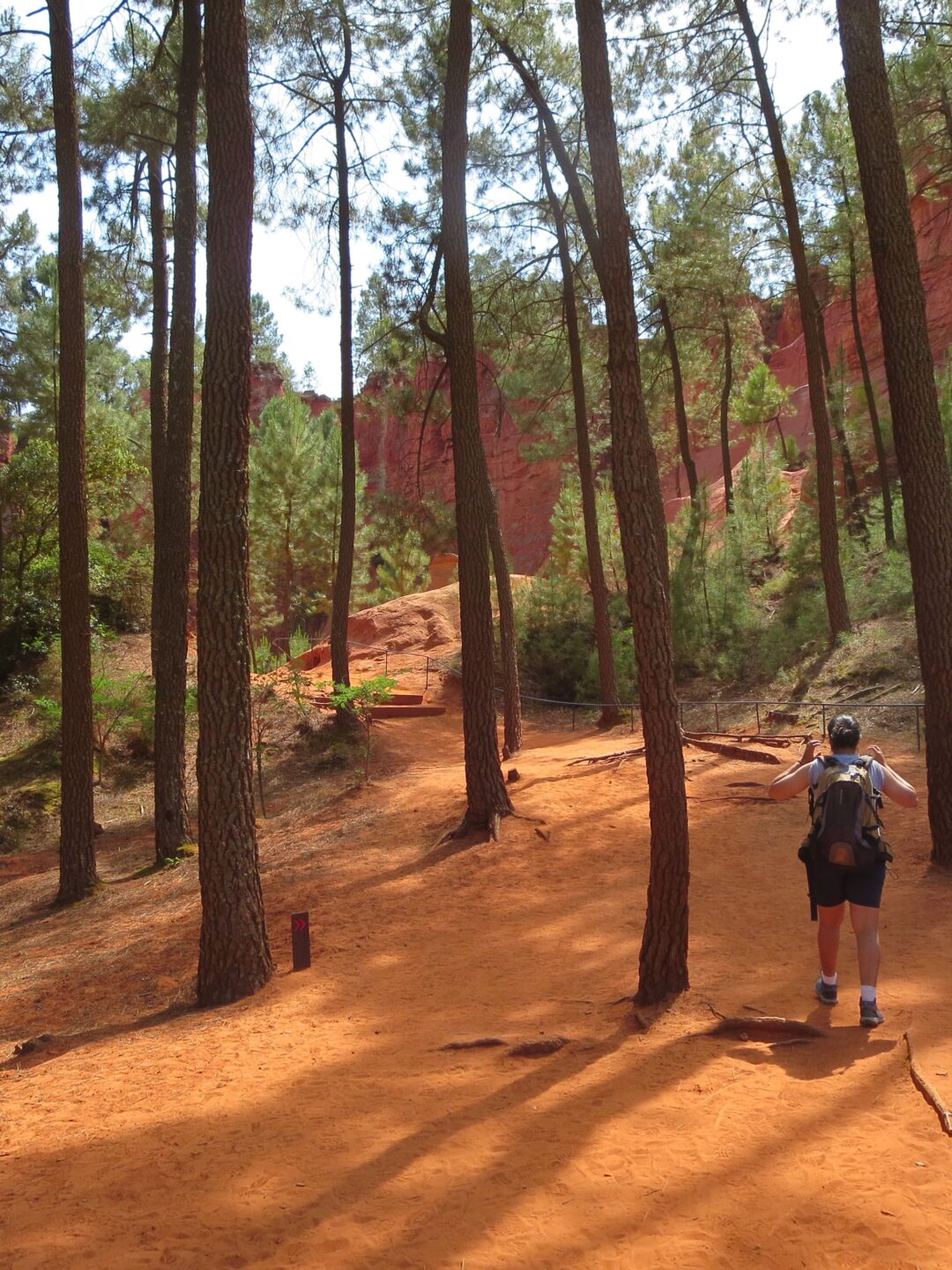 Guided Walking Tour of Provence in France | 57hours