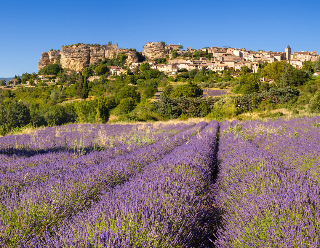 Guided Walking Tour of Provence in France | 57hours