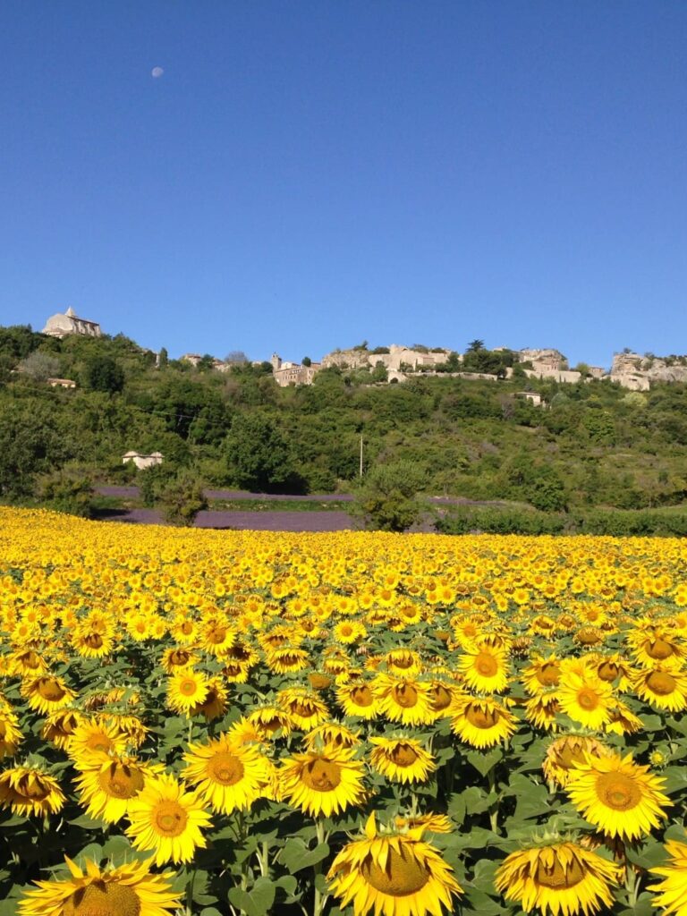Guided Walking Tour of Provence in France | 57hours