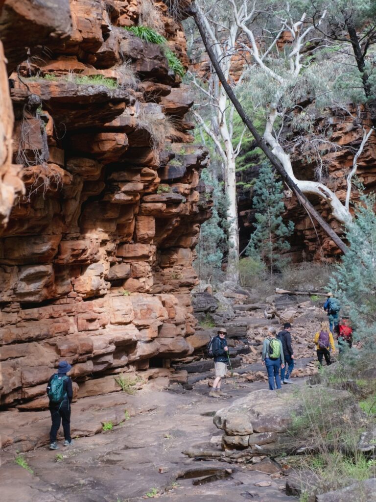 Flinders Ranges Guided Hiking Adventure | 57hours