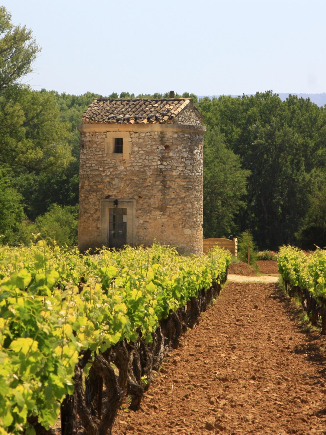 Guided Walking Tour of Provence in France | 57hours