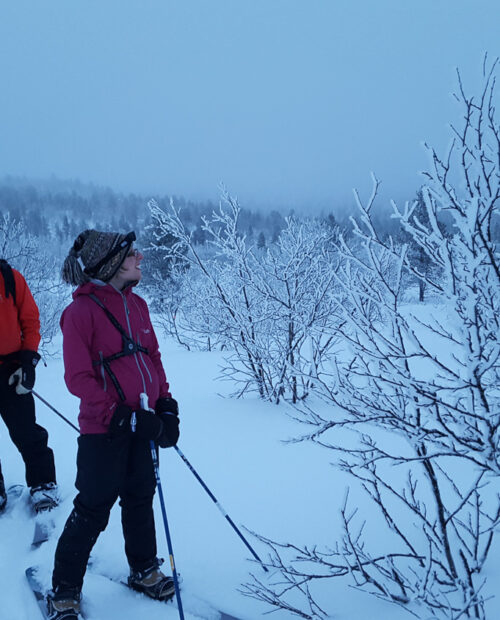Guided Adventures in Halti, Finland | 57hours