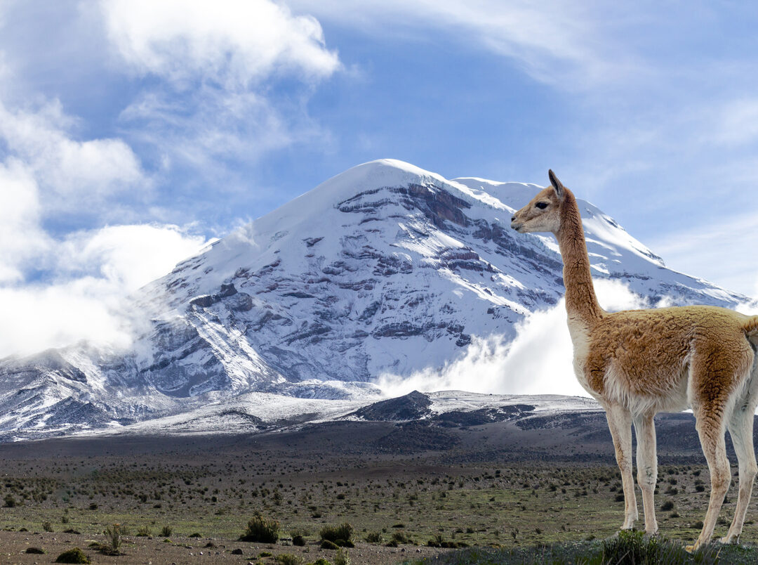 Avenue of the Volcanoes Trekking Tour in Ecuador | 57hours