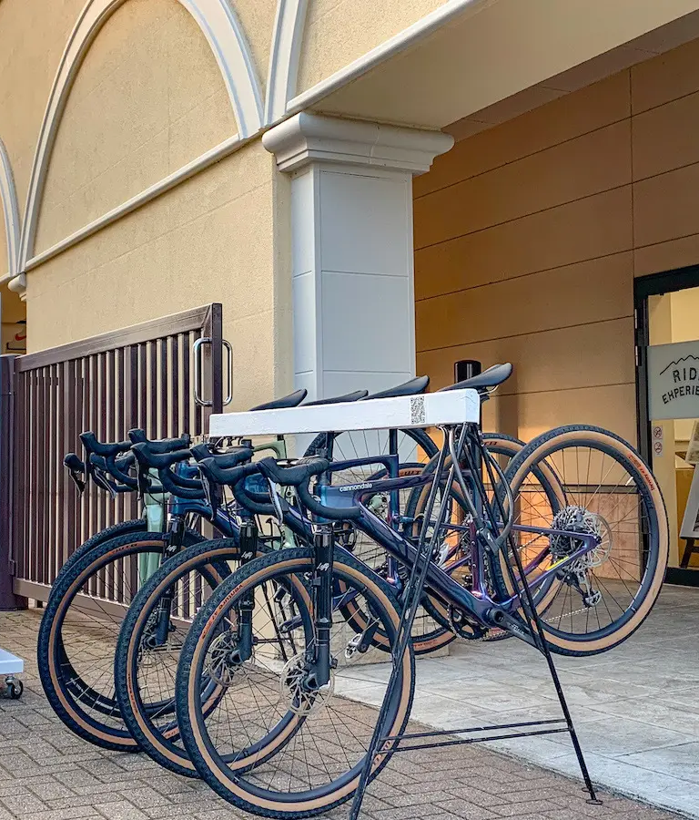 Nasu to Nikko Bike Tour in Tochigi, Japan | 57hours