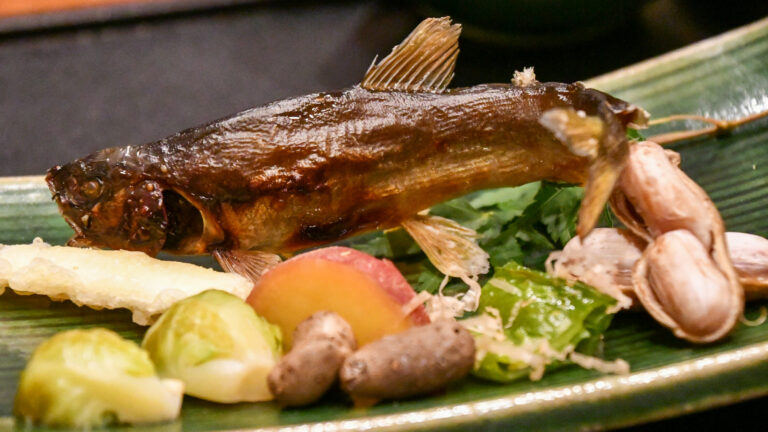 Nasu to Nikko Bike Tour in Tochigi, Japan | 57hours