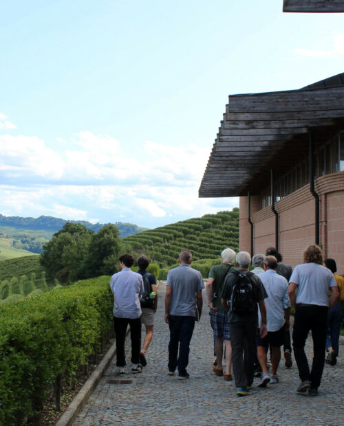 Guided Adventures in Tuscany | 57hours