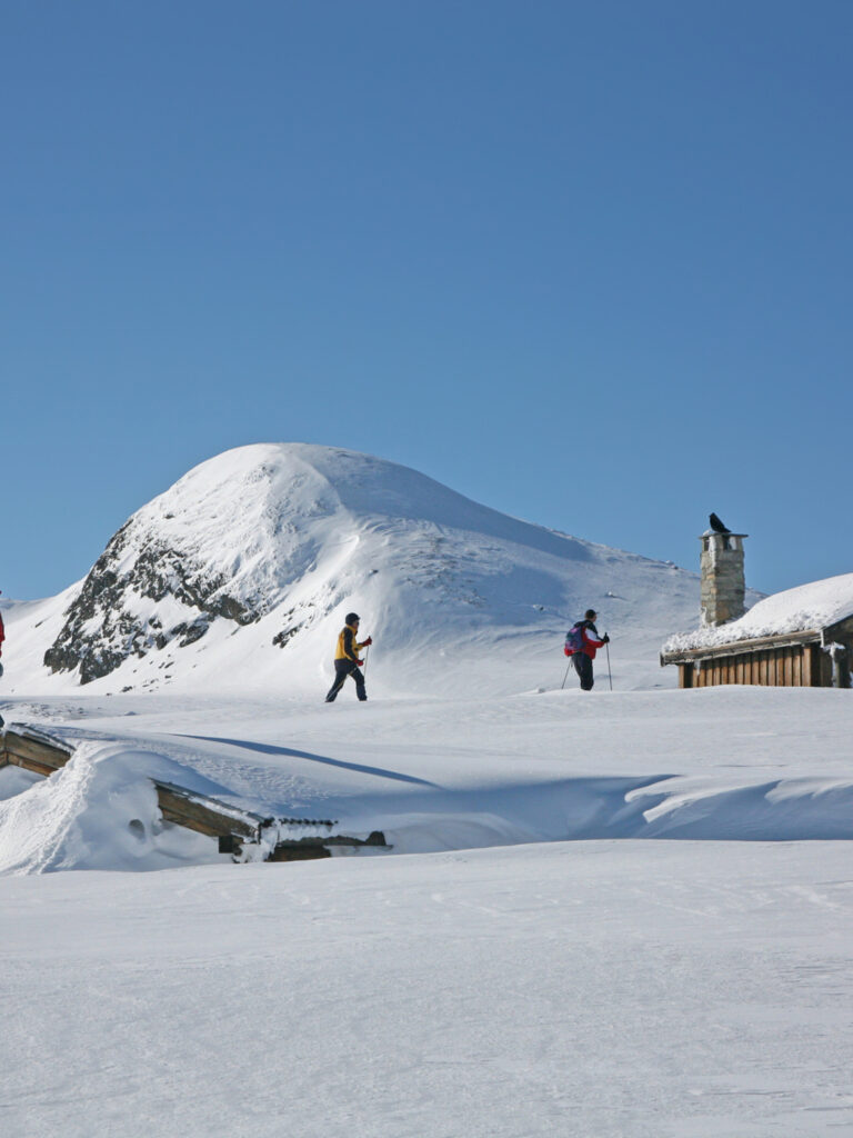 Jotunheimen Haute Route Hut-to-Hut Ski Touring | 57hours