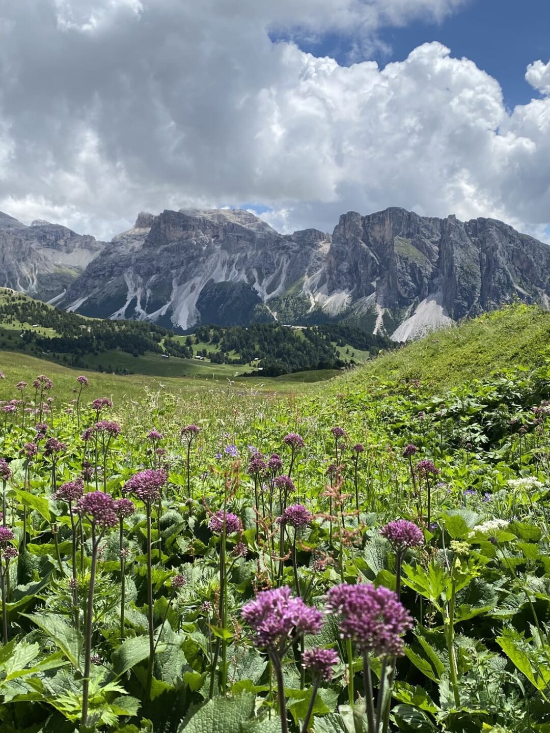 Trekking Val Gardena With an Expert Guide, Italy | 57hours