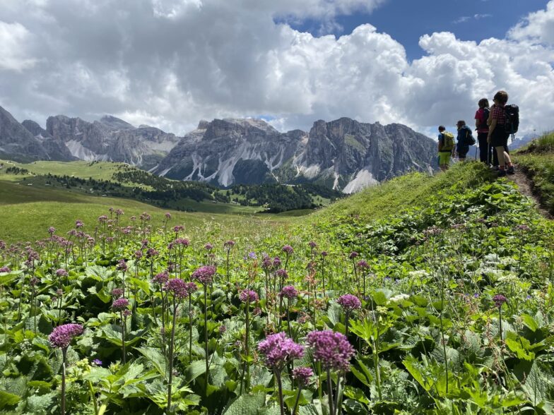 Trekking Val Gardena With an Expert Guide, Italy | 57hours