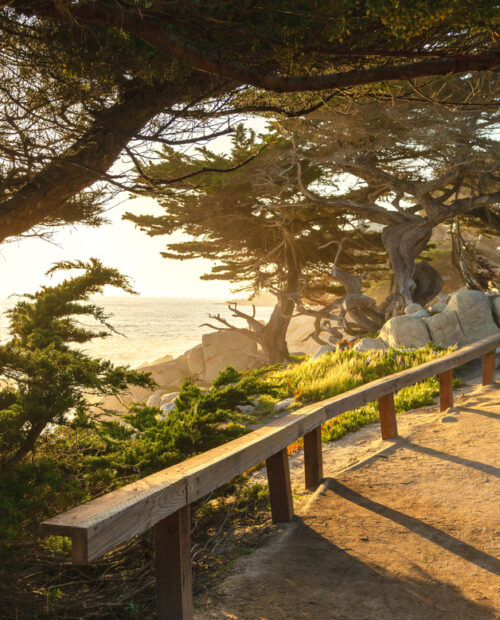 Carmel by the Sea Walking Tours, Big Sur, CA | 57hours