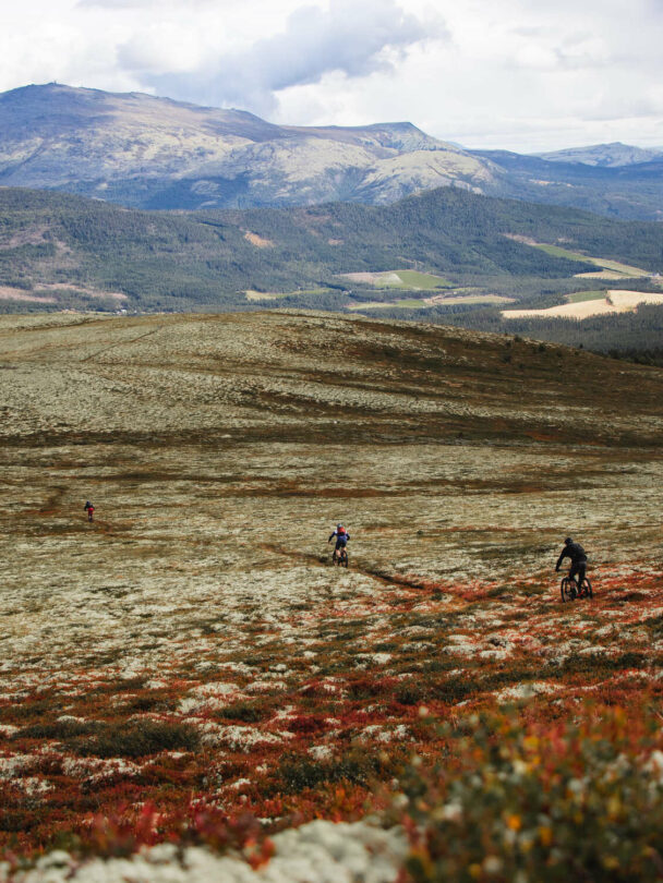 Guided Adventures in Rondane National Park | 57hours