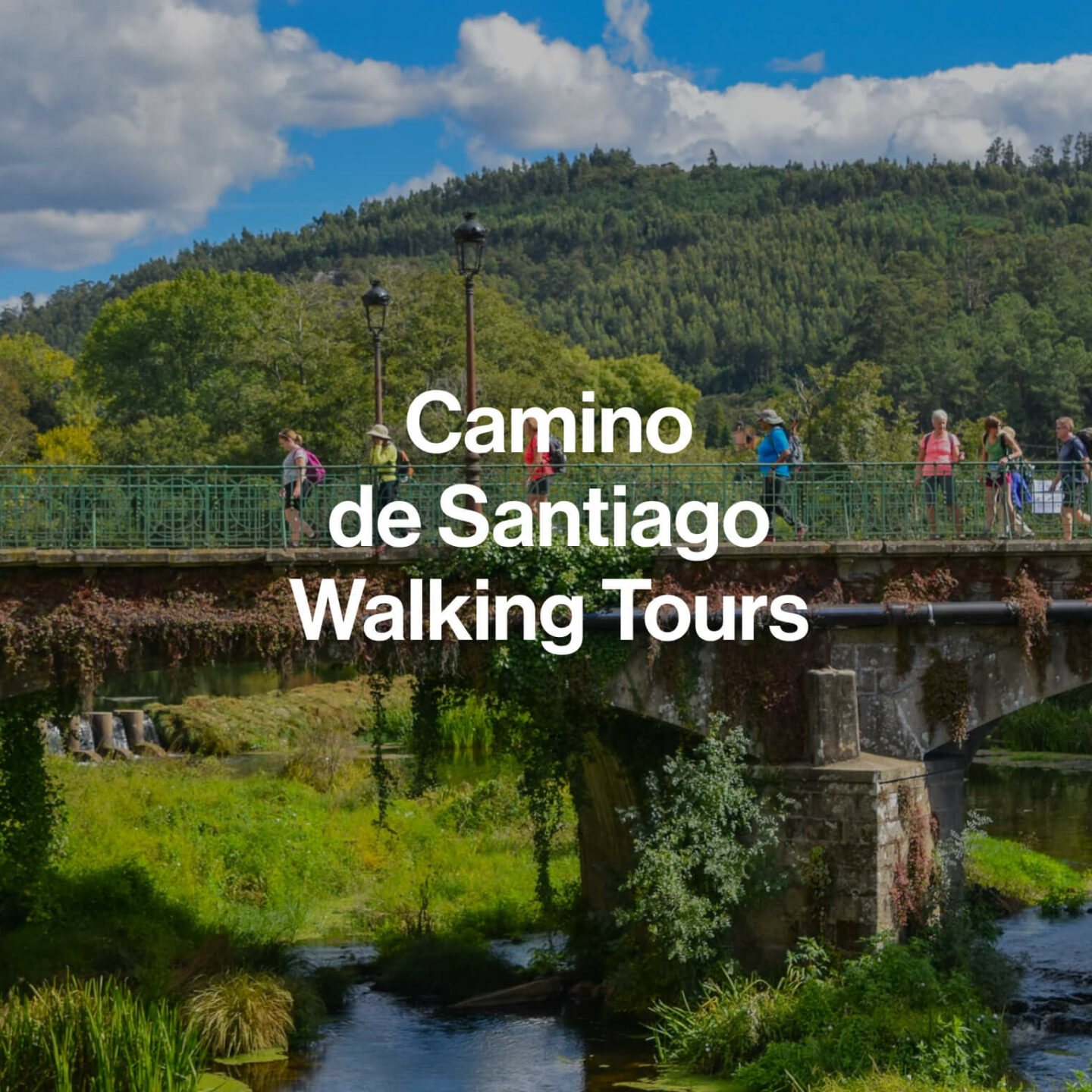 Camino de Santiago Tours with Local Guides - 57hours