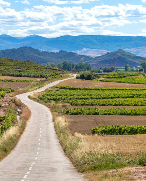 Guided Adventures in Camino de Santiago | 57hours