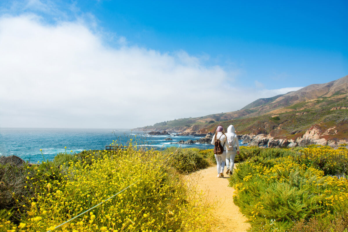Bay Area Adventures with Local Guides - 57hours