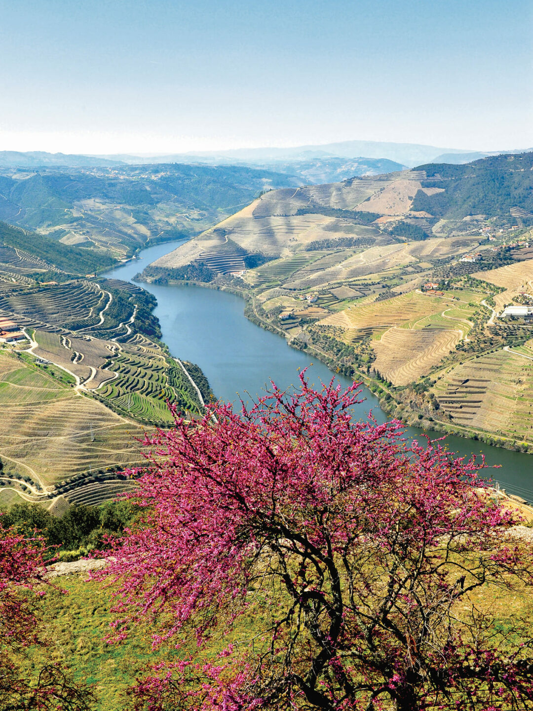 Douro Bike and Wine Tour by Boat in Portugal | 57hours