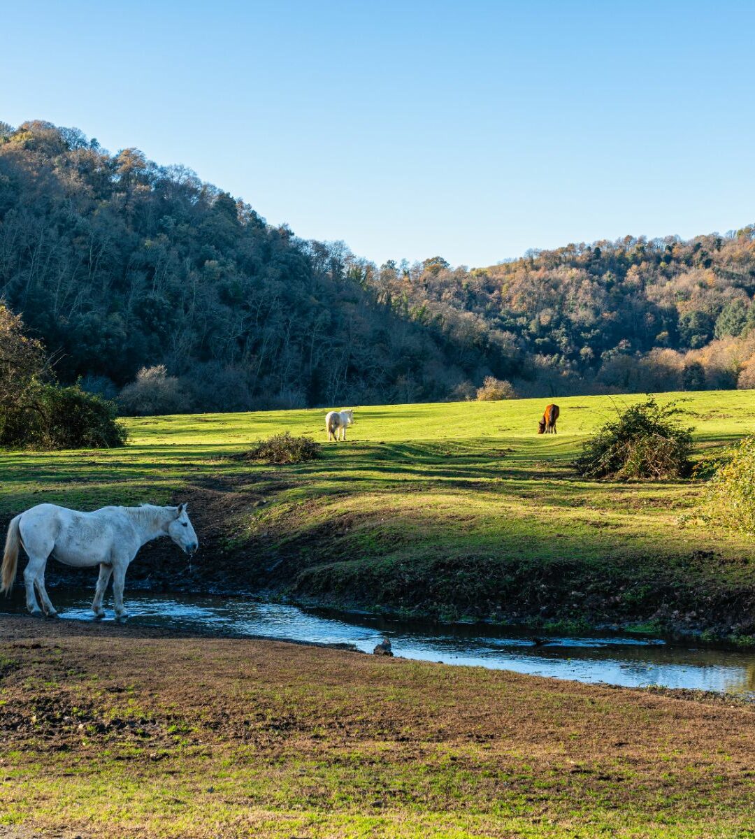 Self-Guided Via Francigena Walk to Rome | 57hours