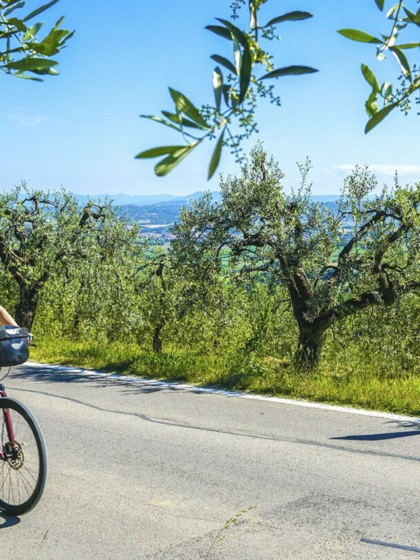 Guided Tuscany Bike, Wine, and Food Tour, Italy | 57hours
