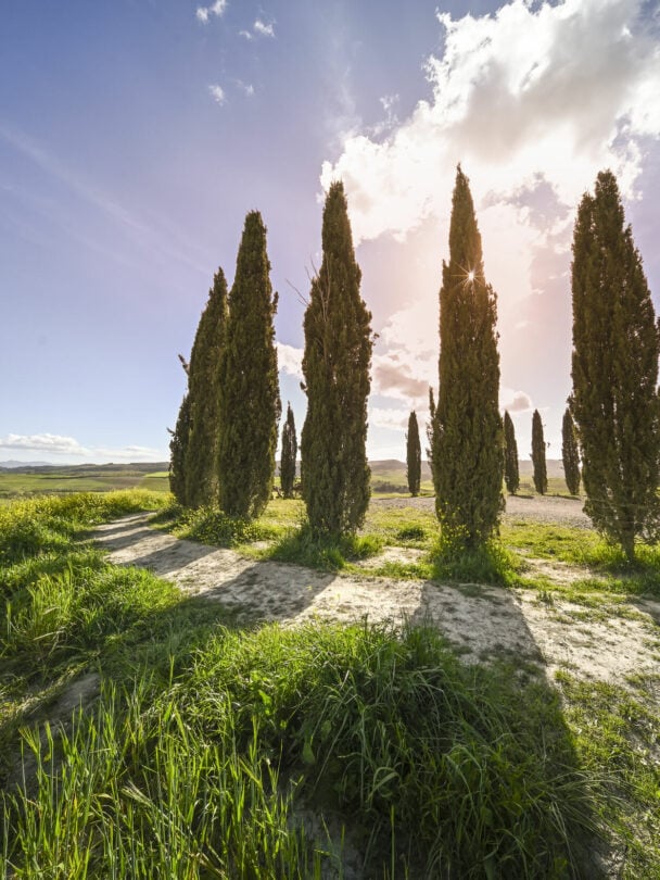 Guided Hiking Trip Through Tuscany | 57hours