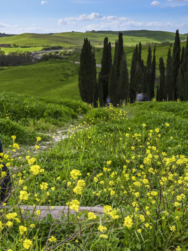 Guided Hiking Trip Through Tuscany | 57hours